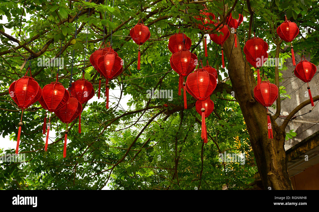 Lanterns Hanging From Trees How Exactly To Hang Paper Lanterns For