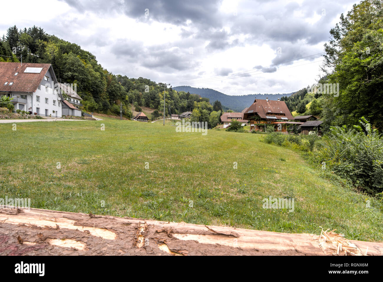 landscape of the Black Forest with typcial architecture and meadows ...