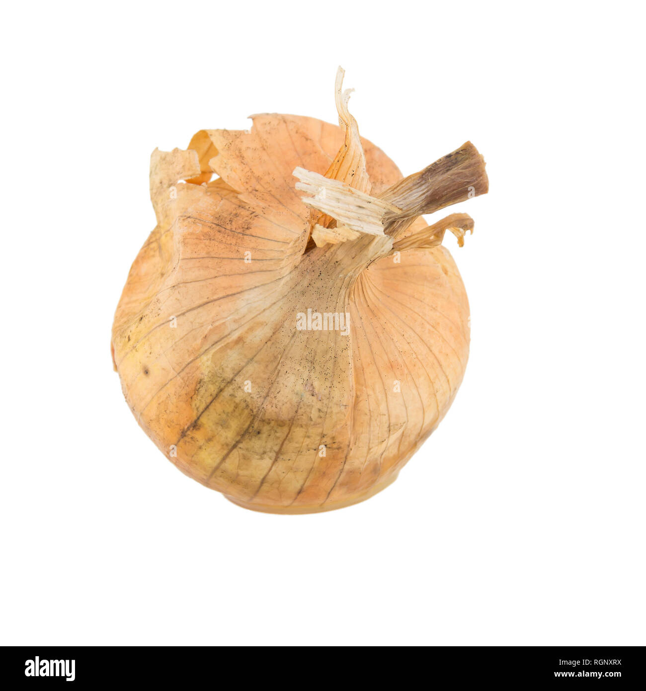 rotten onion isolated on white background Stock Photo - Alamy