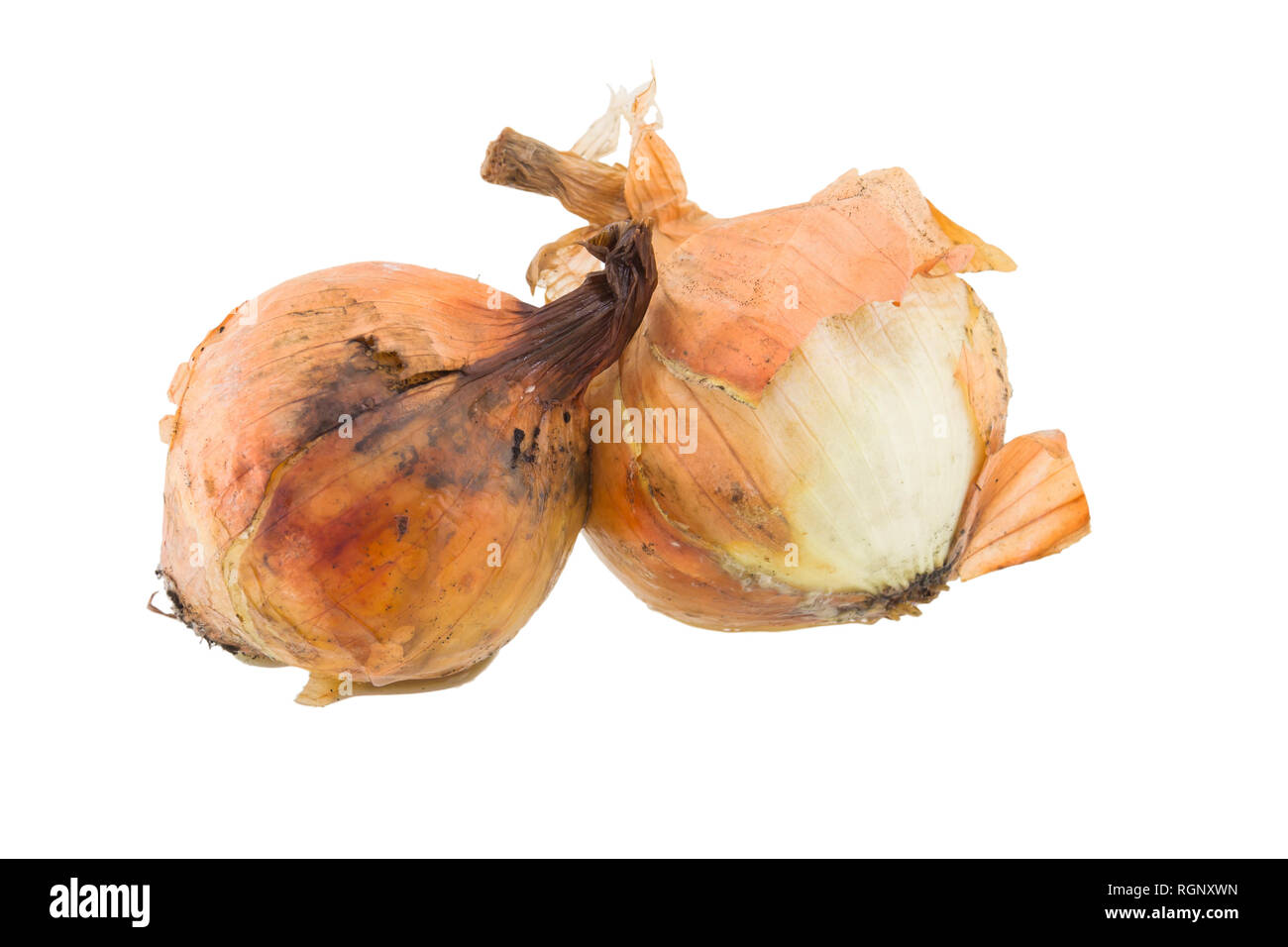 rotten onion isolated on white background Stock Photo - Alamy