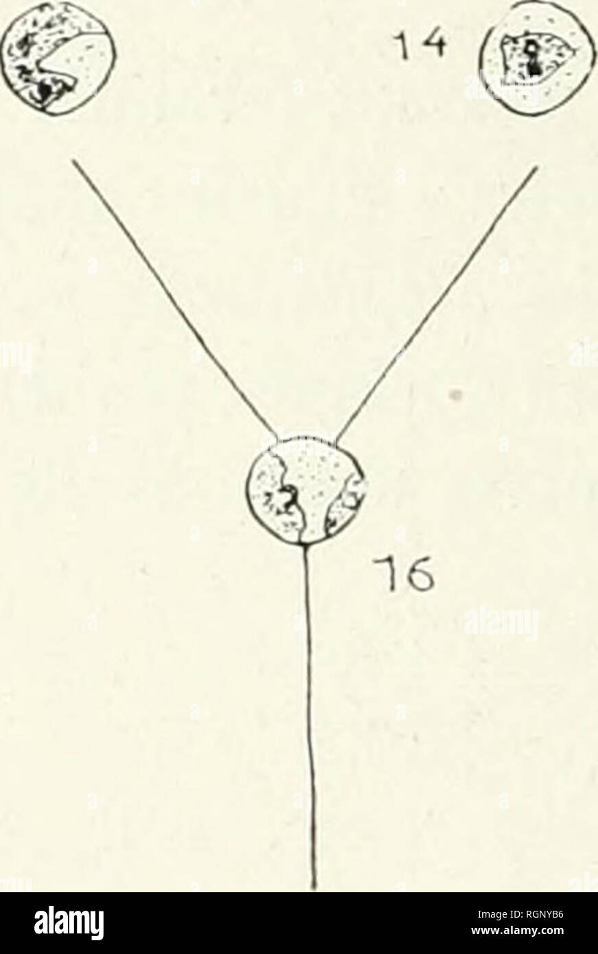 Bords du profil hi-res stock photography and images - Alamy