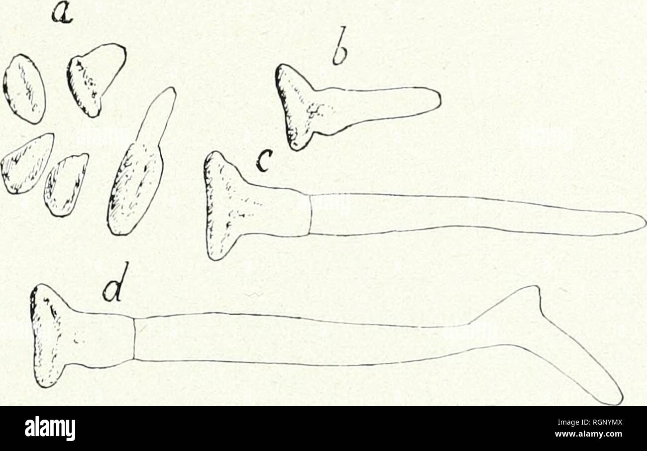 Nuage de verre hi-res stock photography and images - Alamy