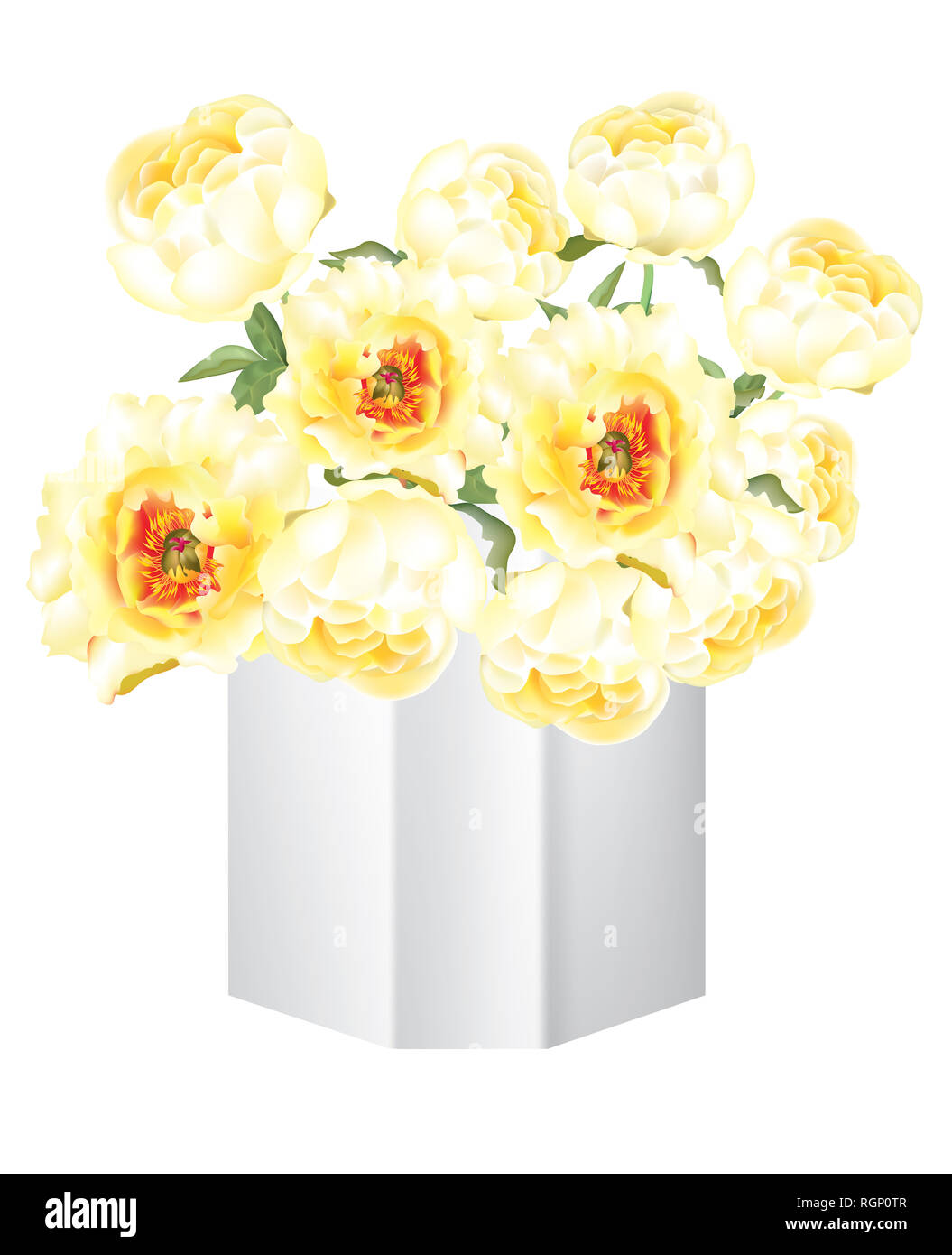 Yellow peonies hi-res stock photography and images - Alamy