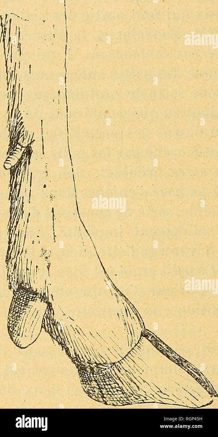 Compter les doigts hi-res stock photography and images - Alamy