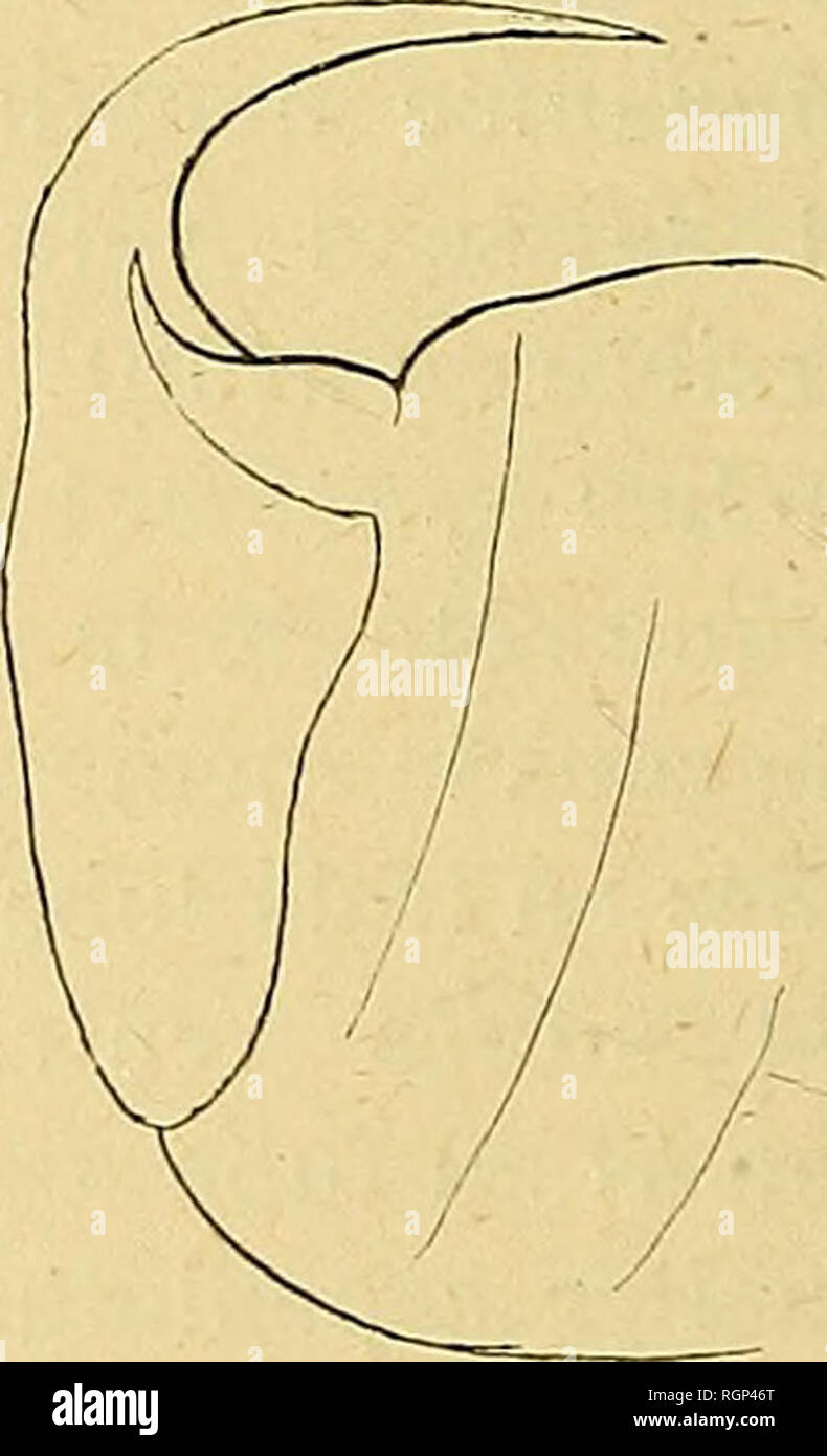 Ma bius hi-res stock photography and images - Alamy