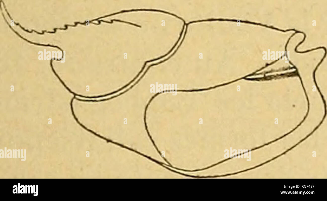 . Bulletin de la Société géologique de France. Geology. FiG. 3 ...