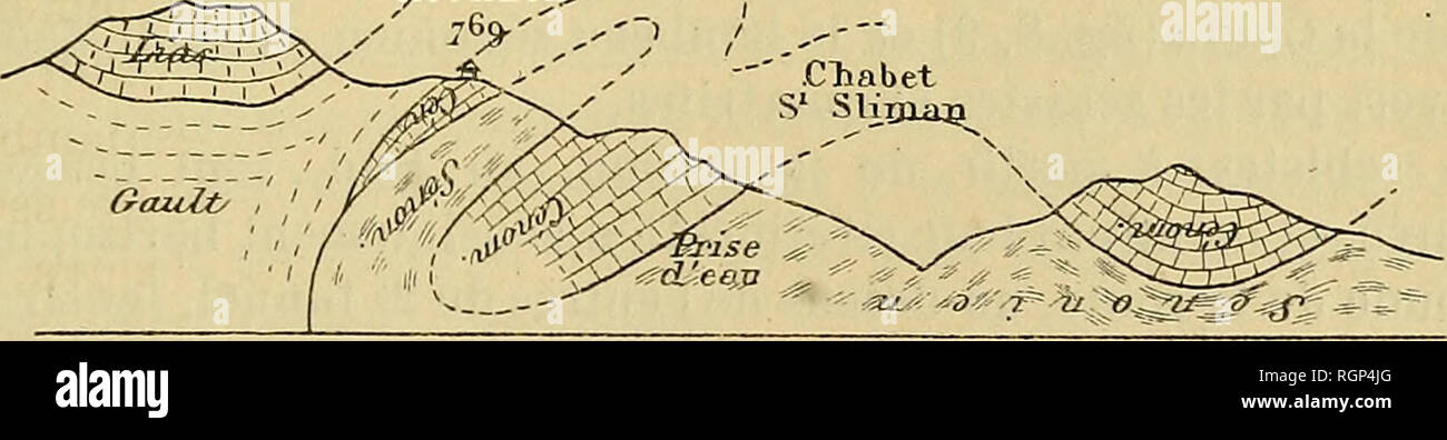 El pecten hi-res stock photography and images - Alamy