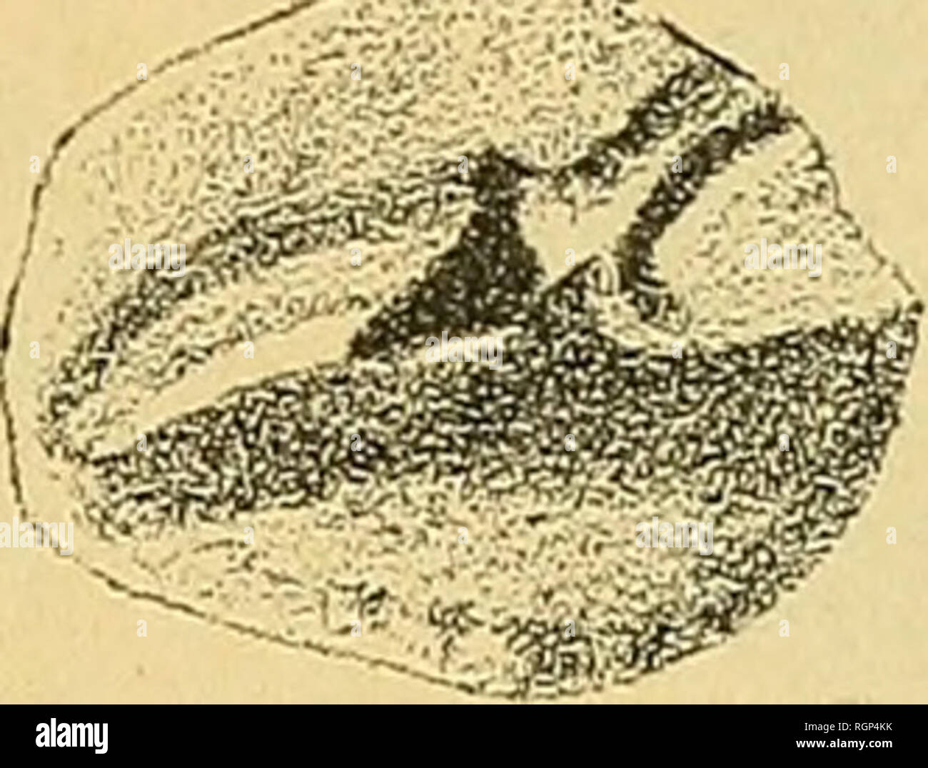 Lien externe hi-res stock photography and images - Alamy