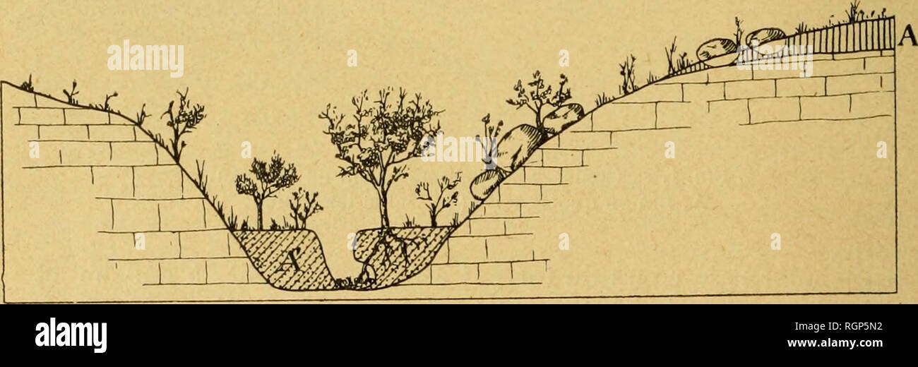 Arbres en surplomb hi-res stock photography and images - Alamy