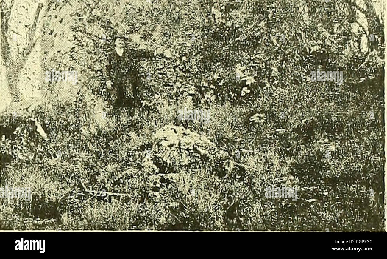 Son roc hi-res stock photography and images - Alamy