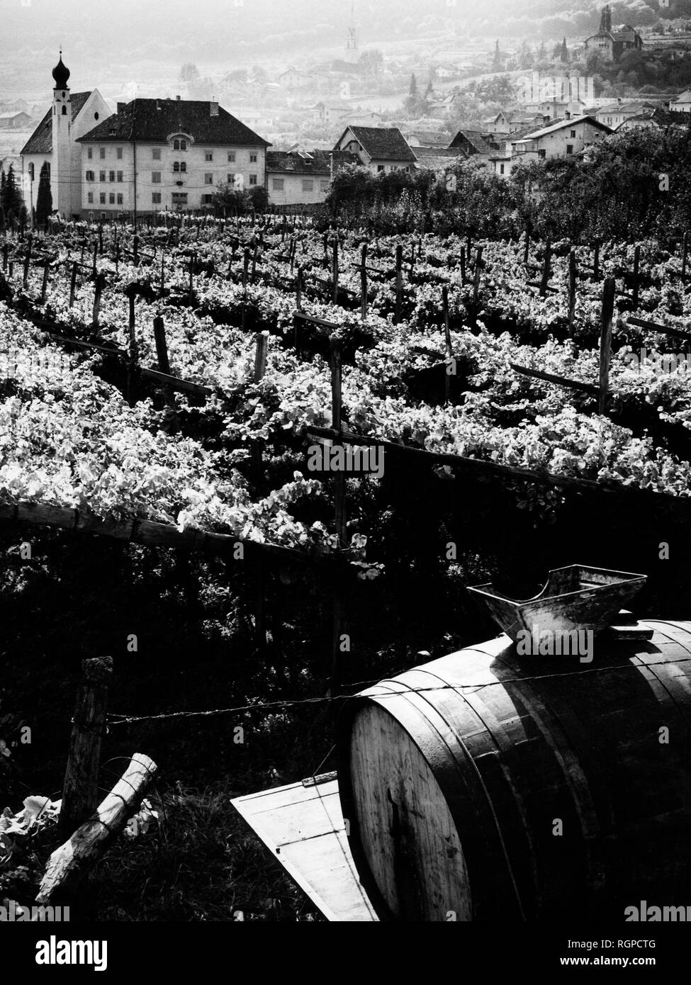 Wine fields italy Black and White Stock Photos & Images - Alamy