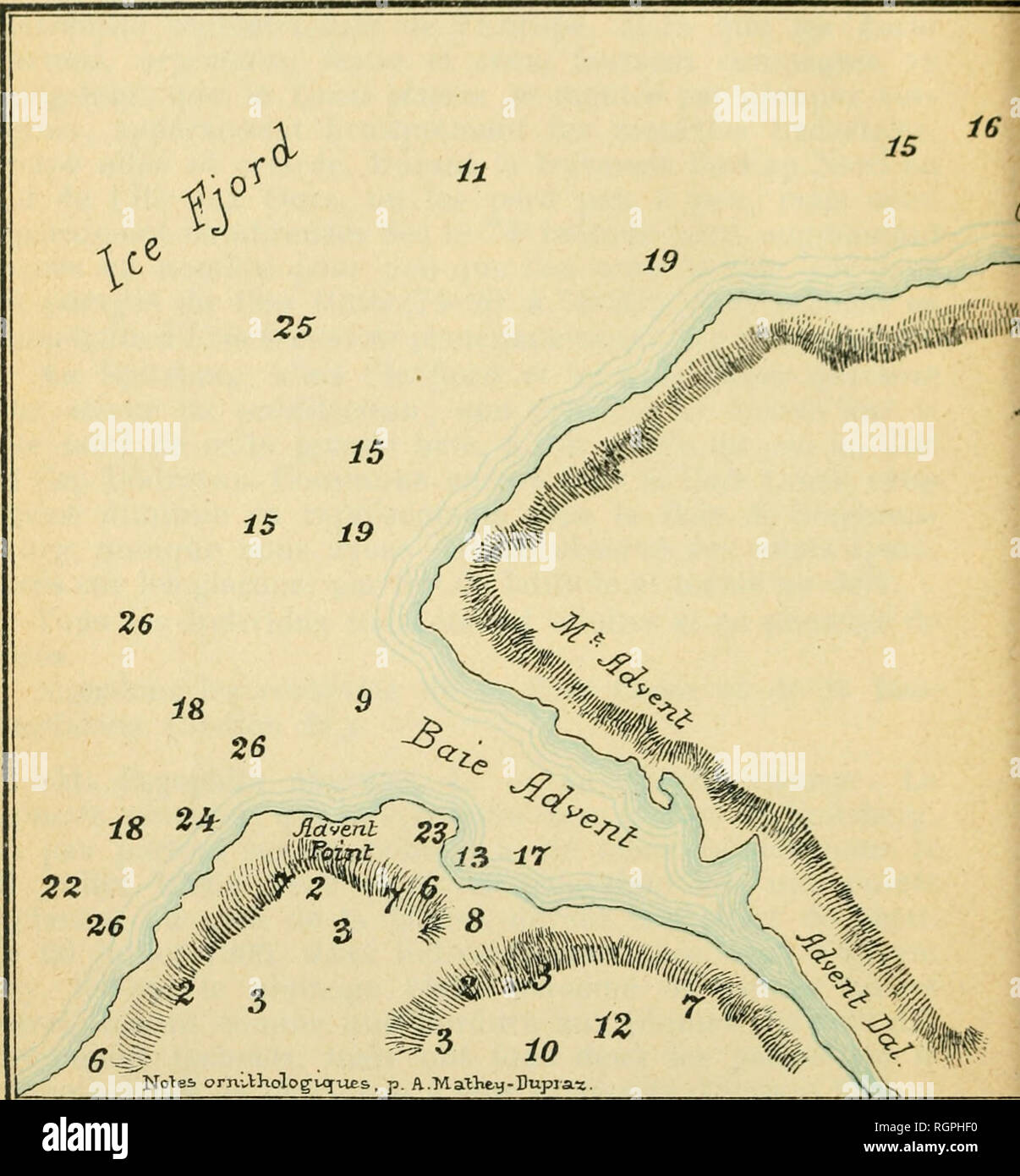 Tercier hi-res stock photography and images - Alamy