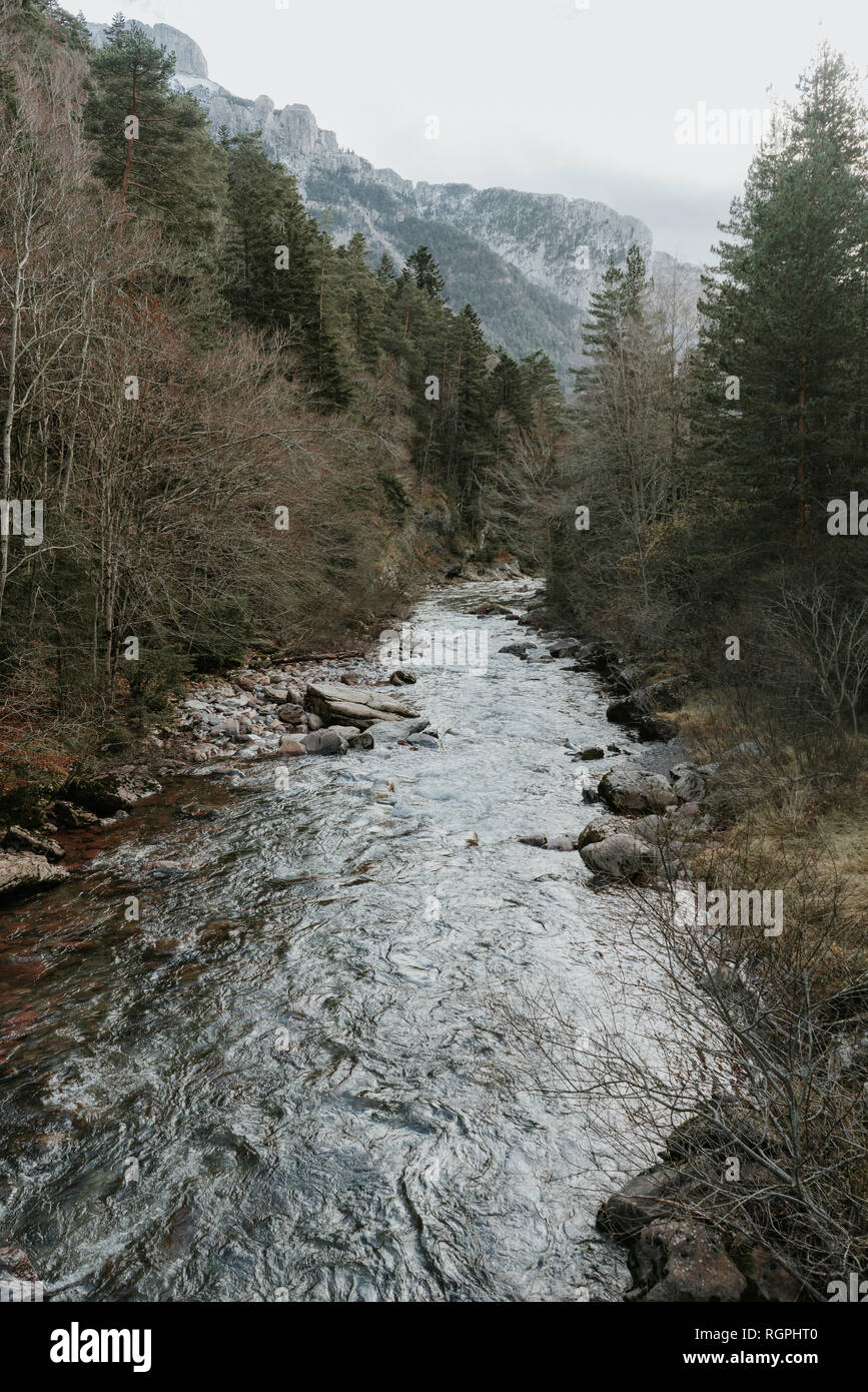 From above picturesque view of river between woods and wonderful ...