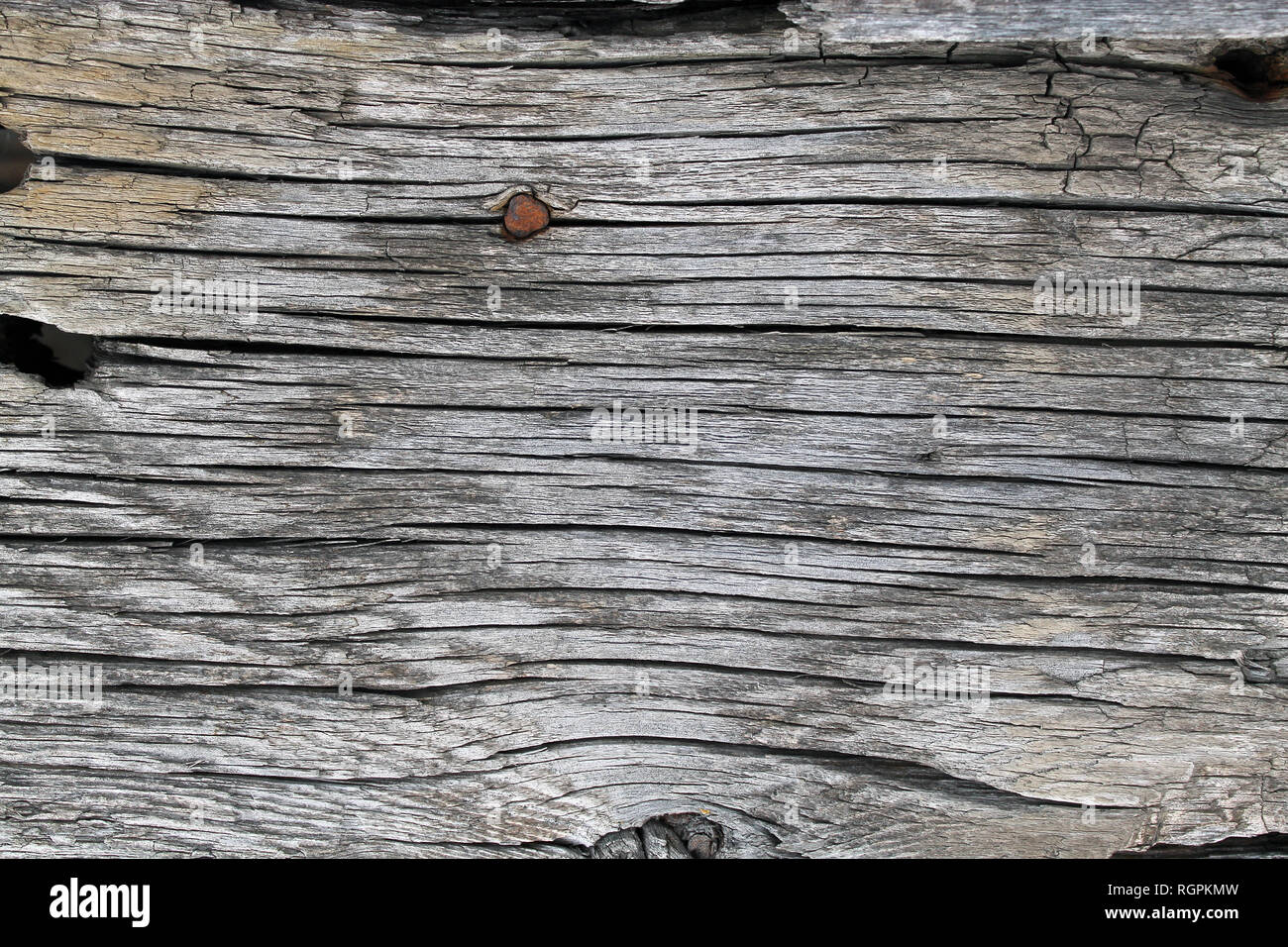 The old wood texture with natural patterns. Inside the tree background ...
