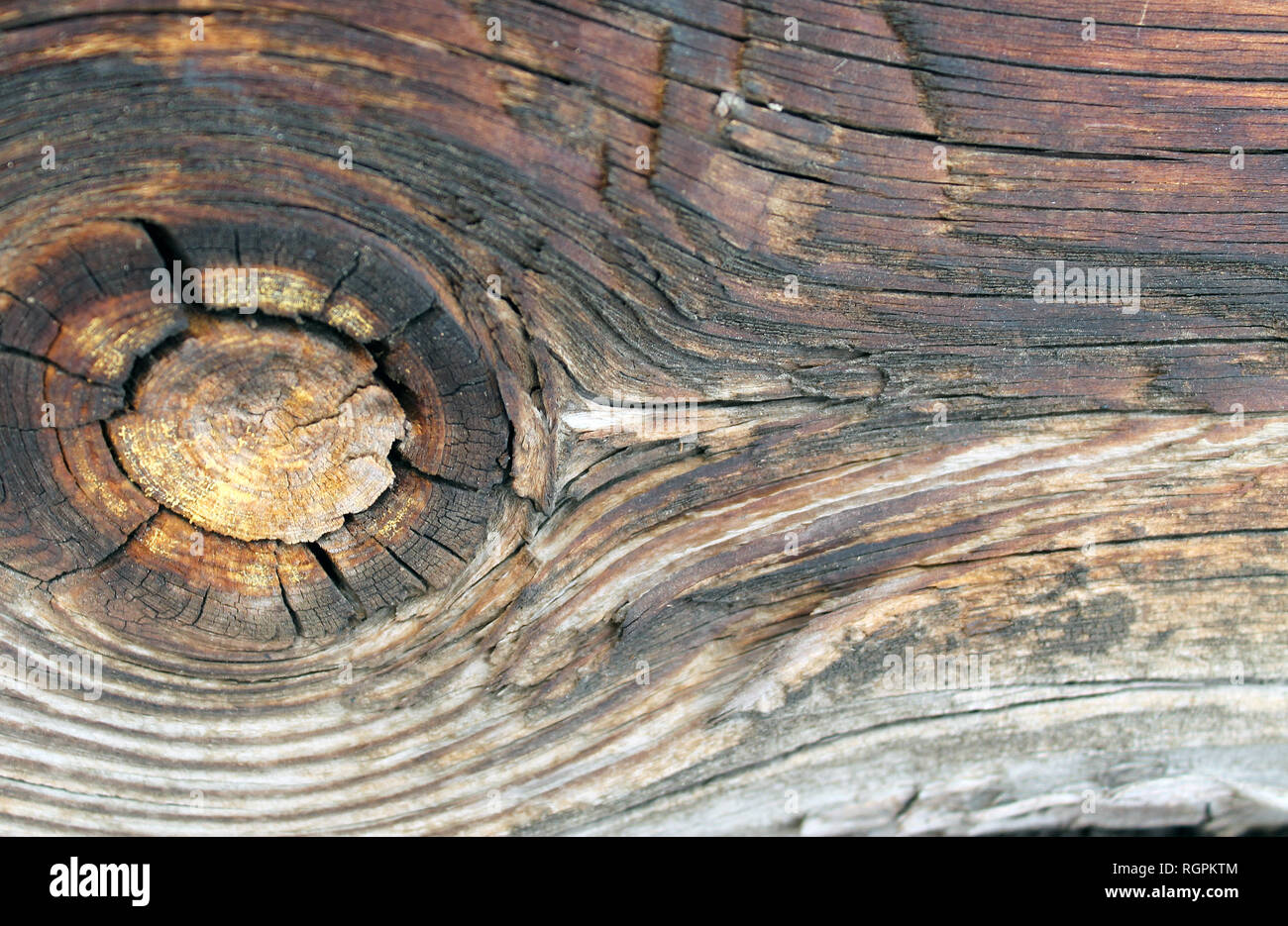 The old wood texture with natural patterns. Inside the tree background ...