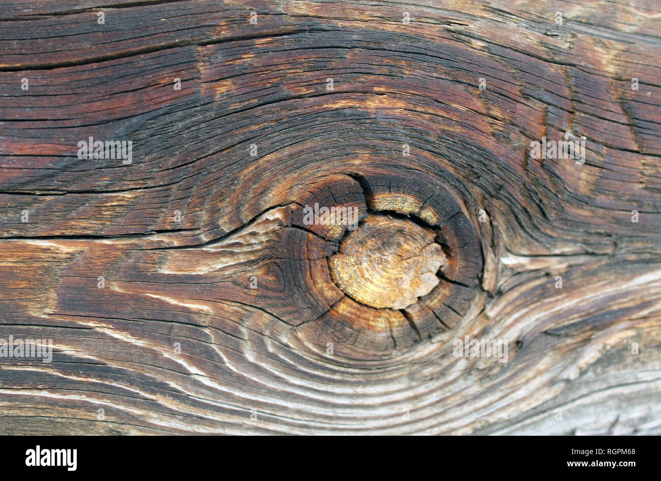 The old wood texture with natural patterns. Inside the tree background ...
