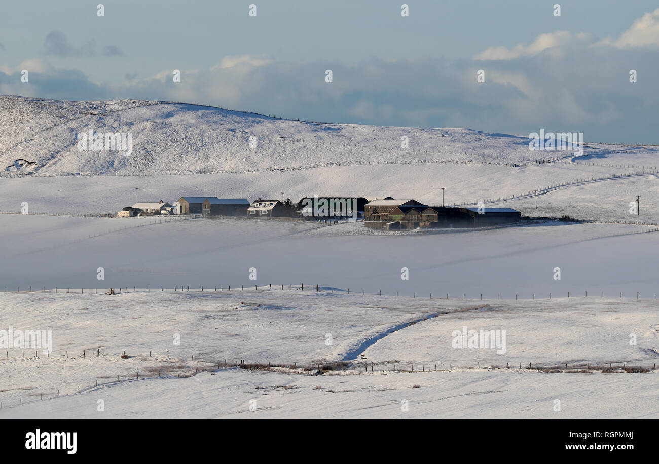 Morning fog floats through the valley at Tingwall on the Shetland ...