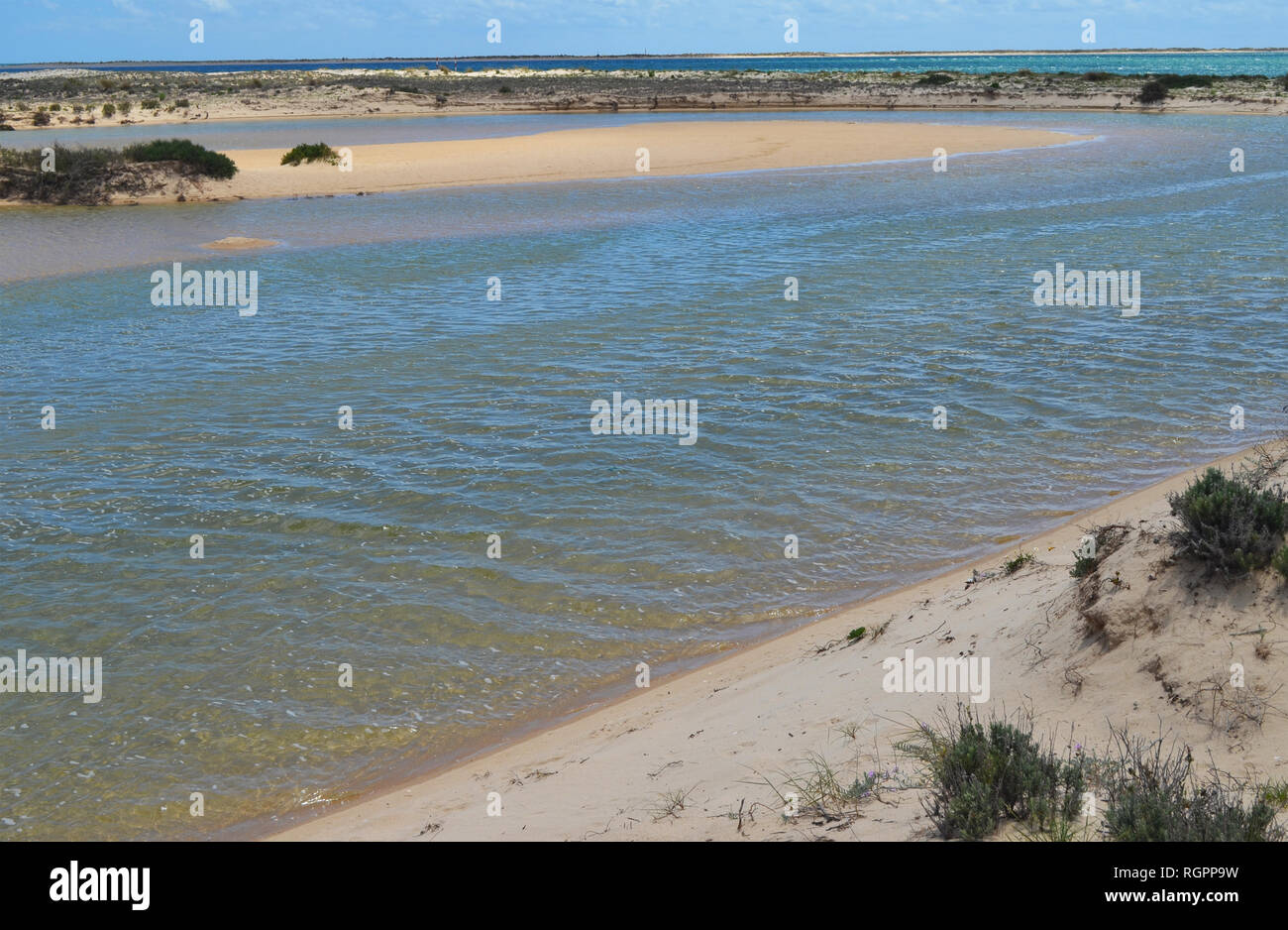 Coastal lagoon in Armona island, part of the Ria Formosa Natural Park ...
