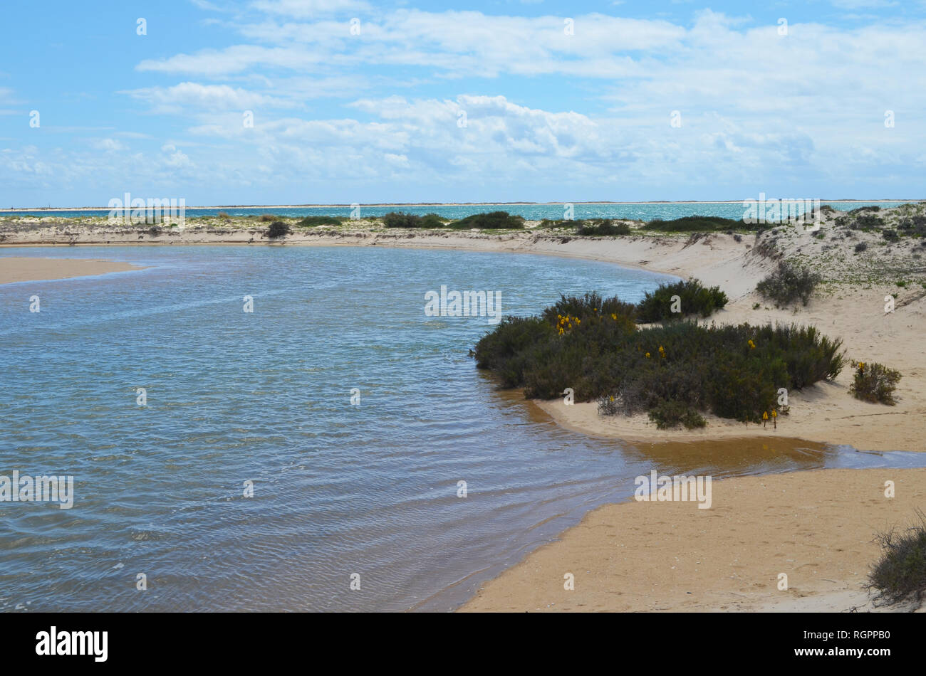 Coastal lagoon in Armona island, part of the Ria Formosa Natural Park ...