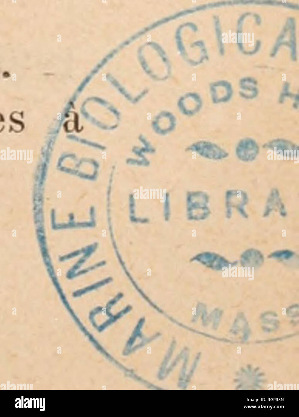 Emile baron hi-res stock photography and images - Alamy