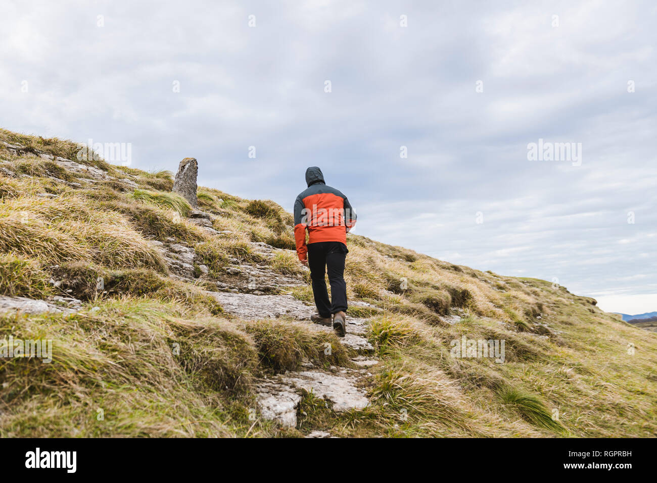man walking on hill near valley Stock Photo - Alamy