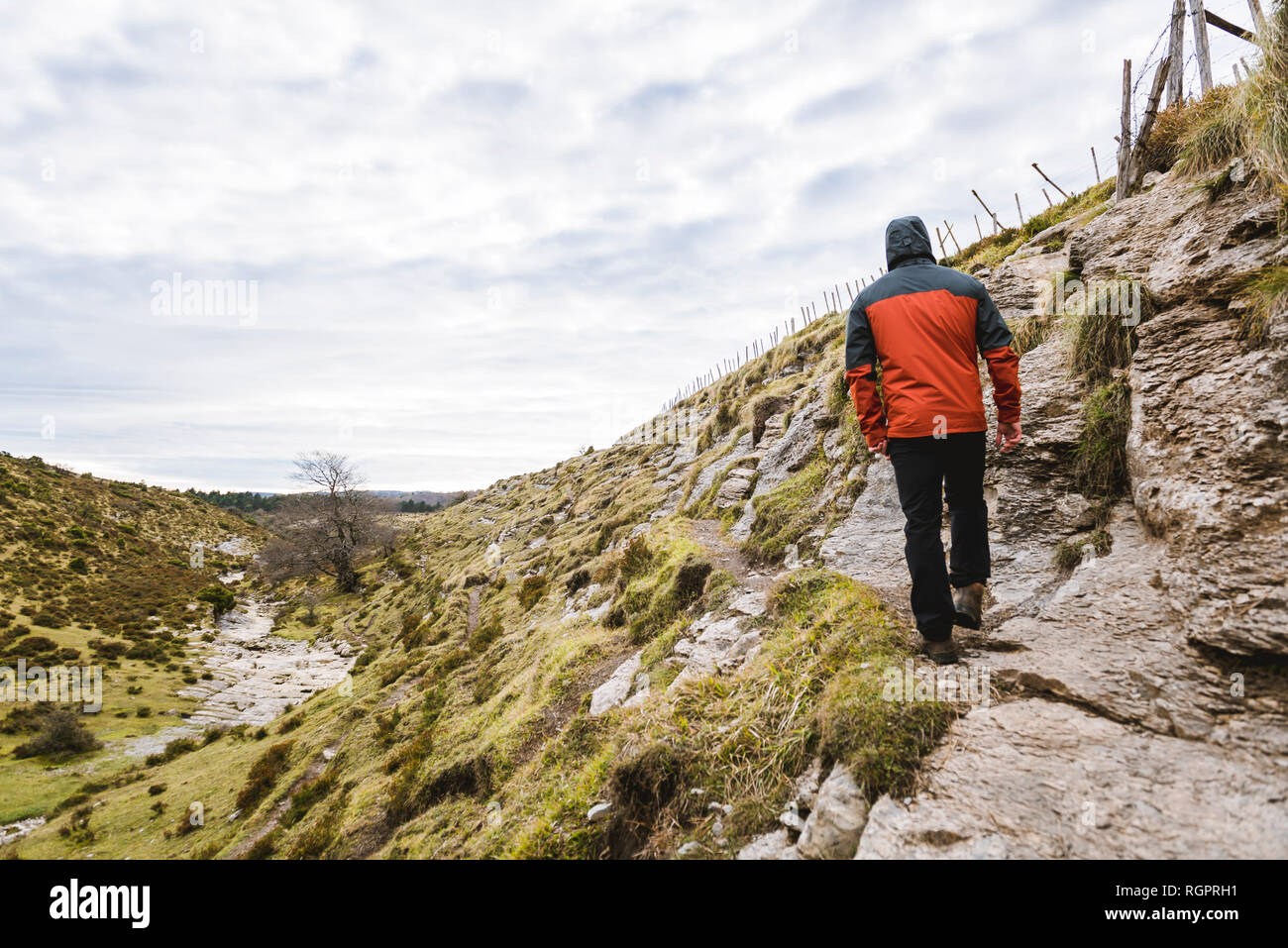 man walking on hill near valley Stock Photo - Alamy
