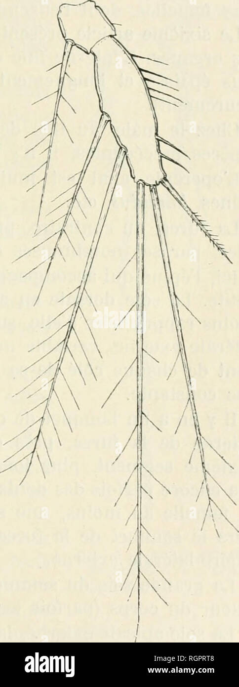 Br nette hi-res stock photography and images - Alamy