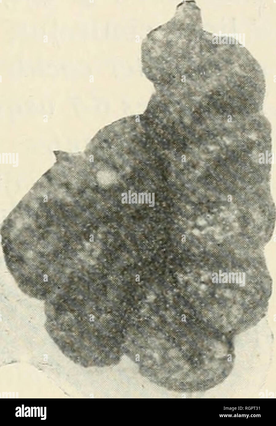 La carte des tubes hi-res stock photography and images - Alamy