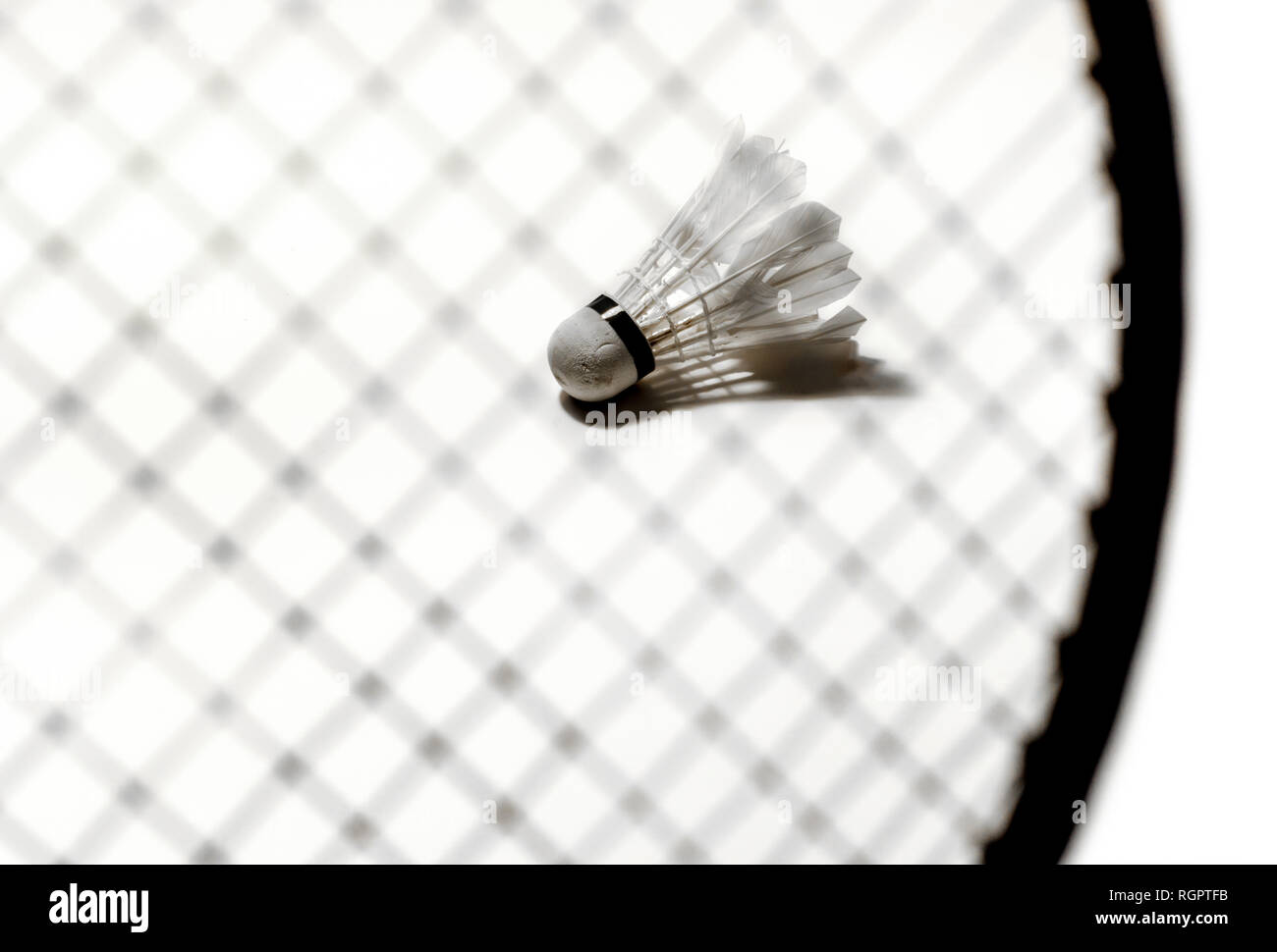 Badminton racket and shuttlecock Stock Photo - Alamy