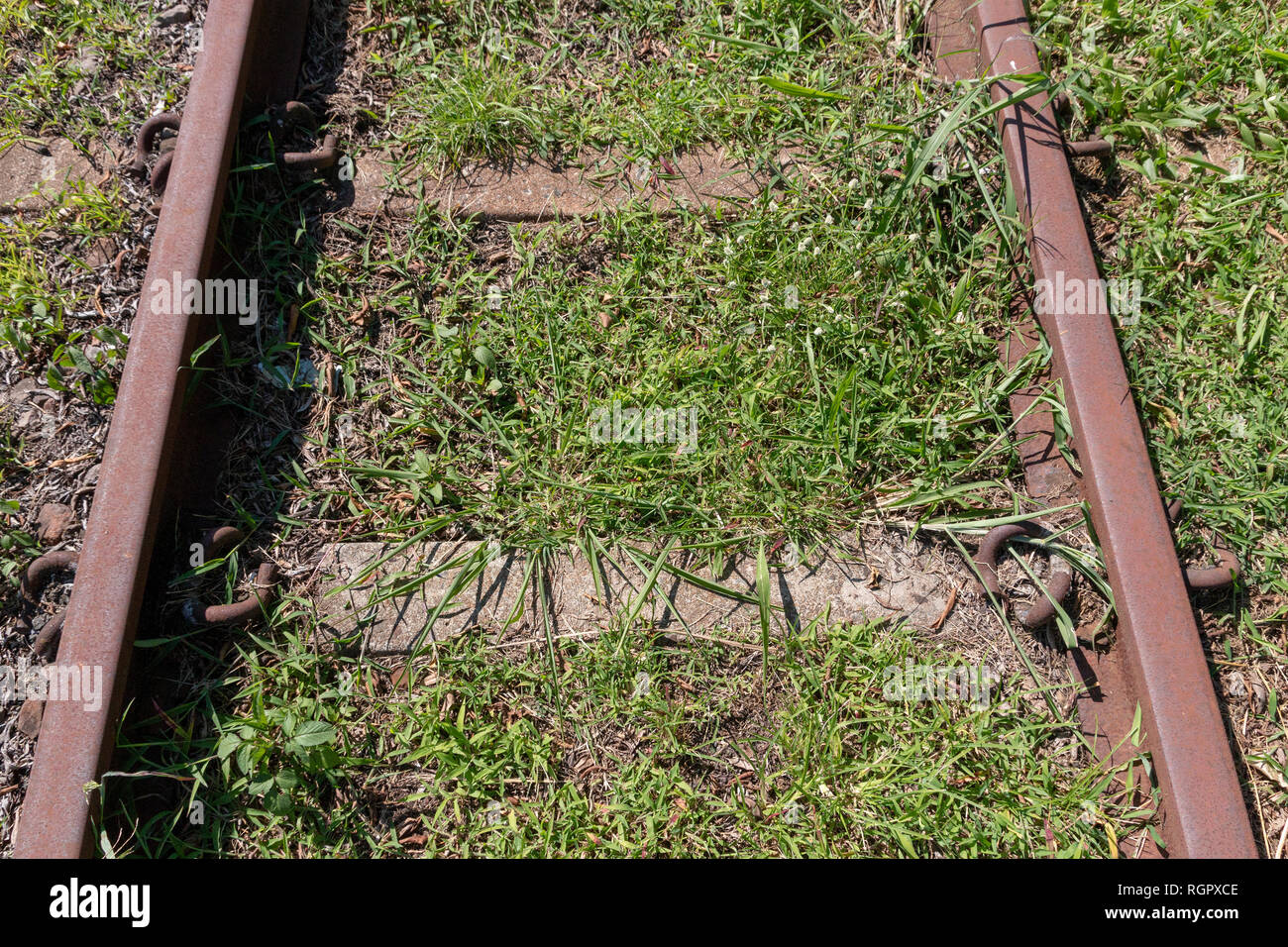 A close view of a railway line where the grass has grown over the ...