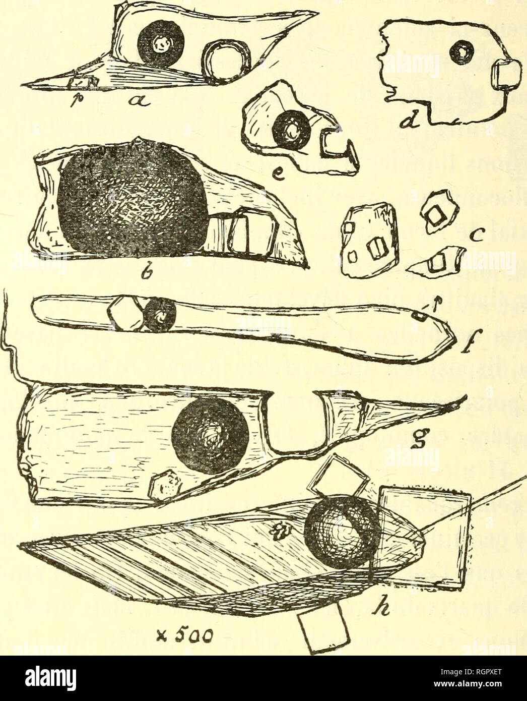 Clivage High Resolution Stock Photography and Images - Alamy