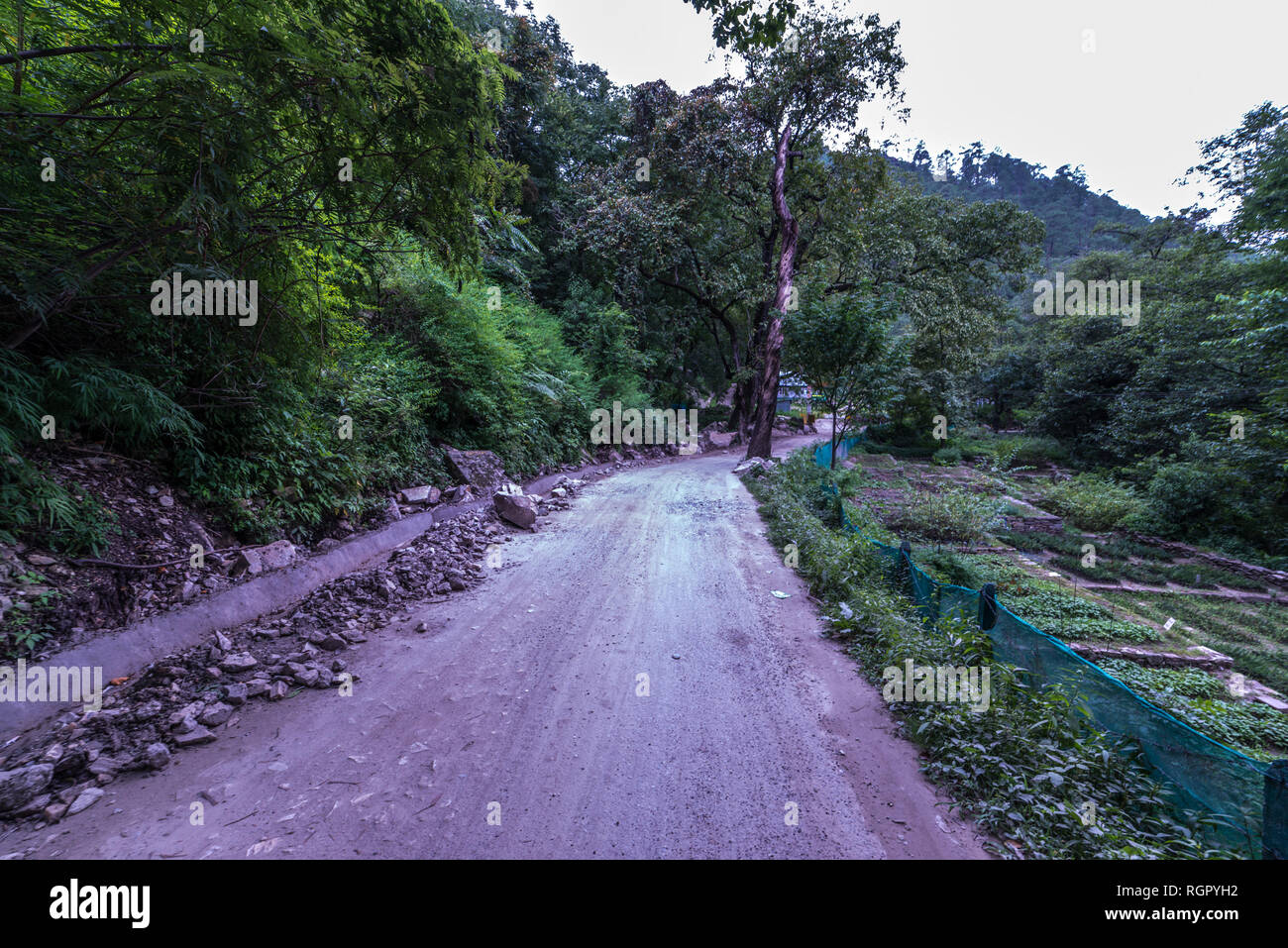 Photo of Off-Road in Himalayas, Great Himalayan National Park, Sainj ...