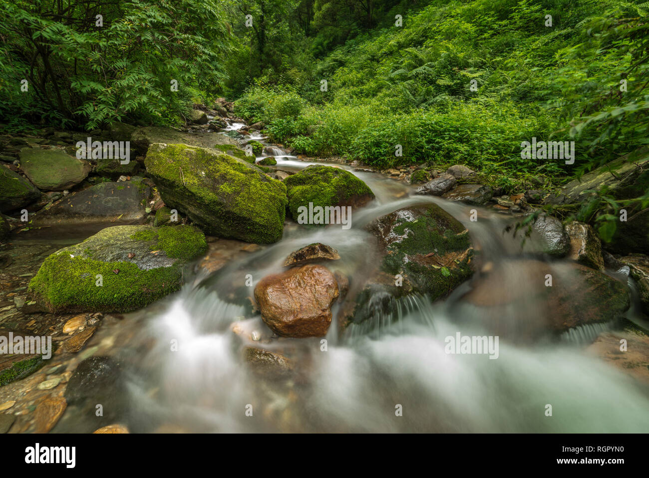 Photo of Beautiful Waterfall in deep forest at Waterfall in Himalayas ...