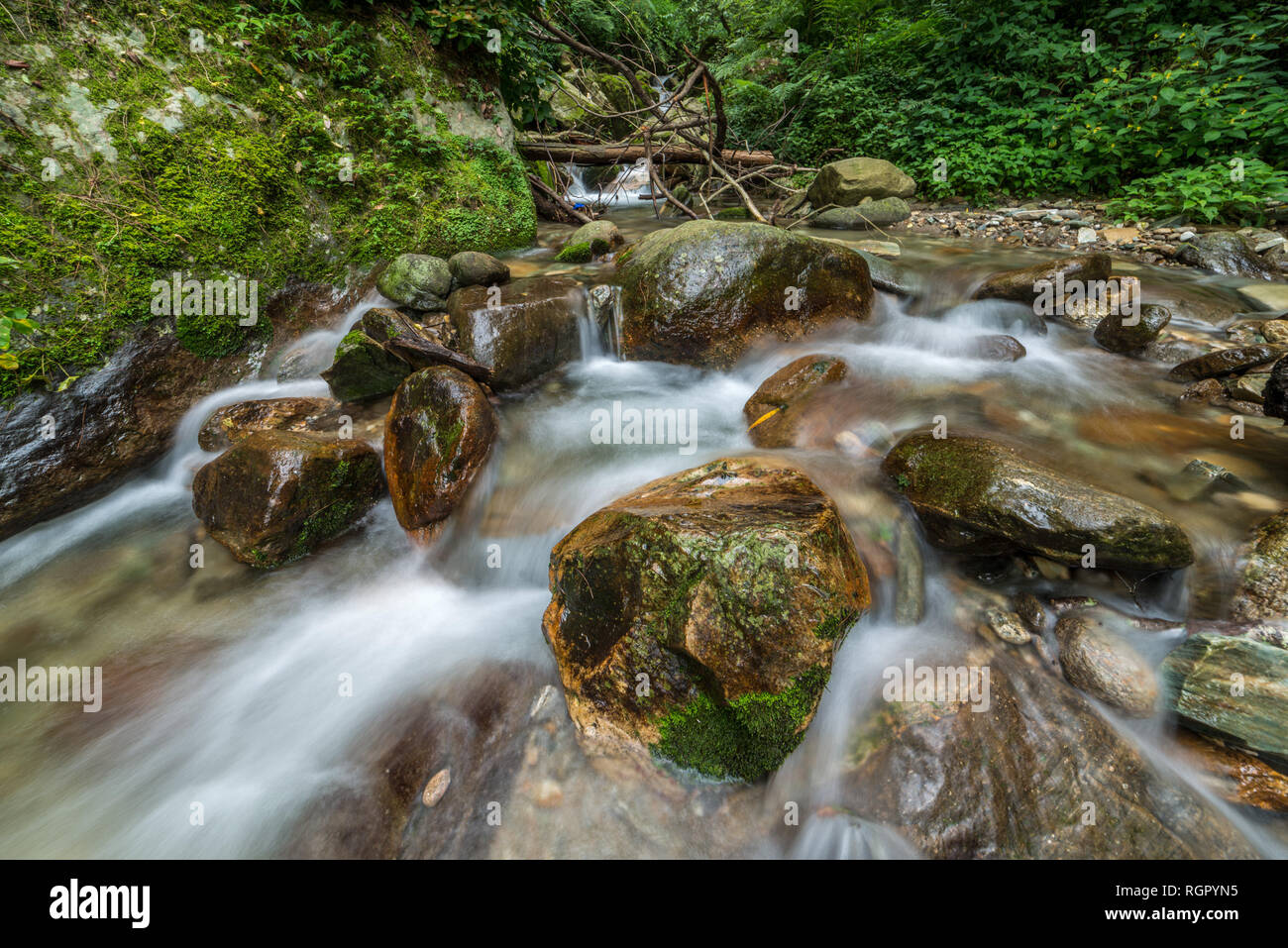 Photo of Beautiful Waterfall in deep forest at Waterfall in Himalayas ...