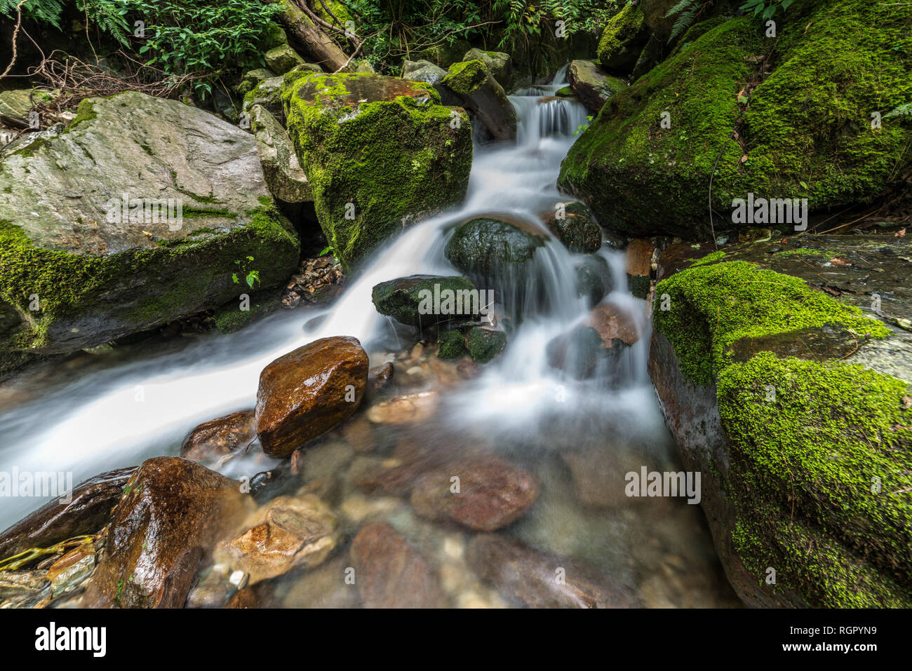 Photo of Beautiful Waterfall in deep forest at Waterfall in Himalayas ...