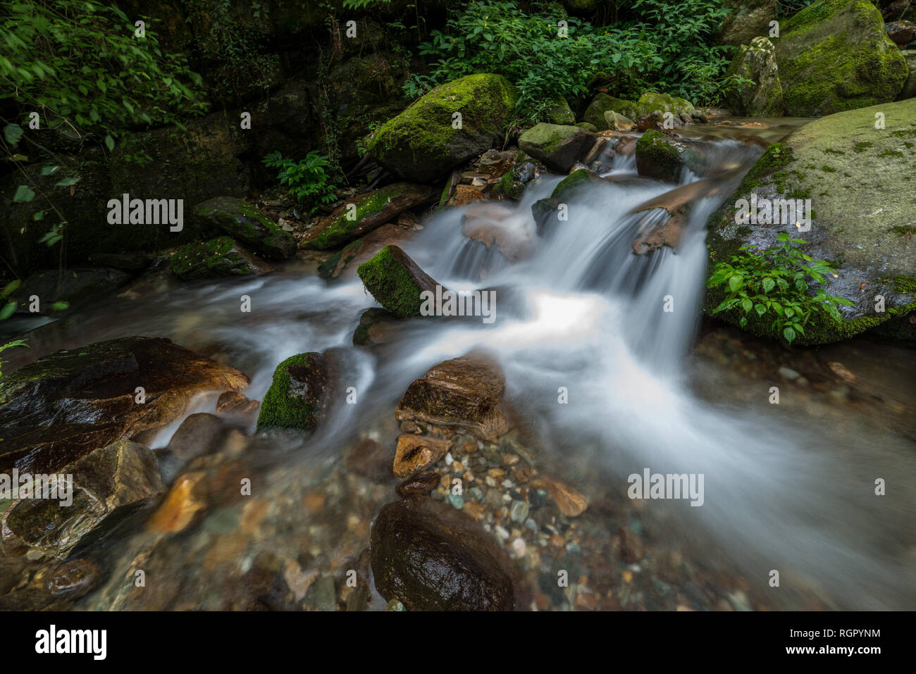 Photo of Beautiful Waterfall in deep forest at Waterfall in Himalayas ...