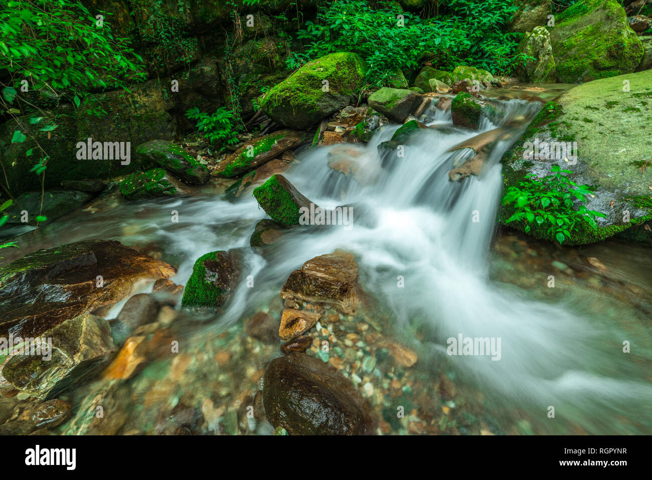 Photo of Beautiful Waterfall in deep forest at Waterfall in Himalayas ...