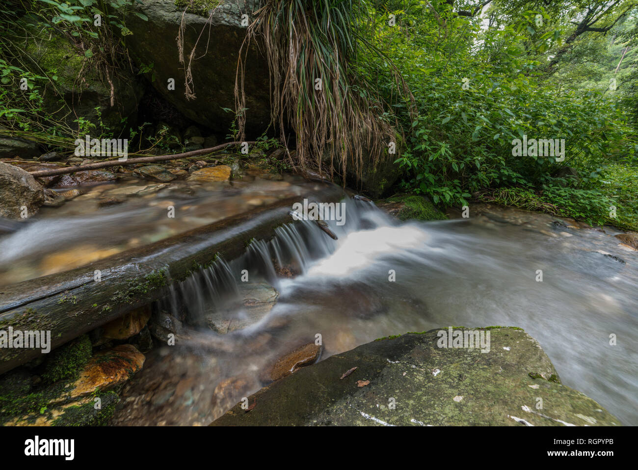 Photo of Beautiful Waterfall in deep forest at Waterfall in Himalayas ...