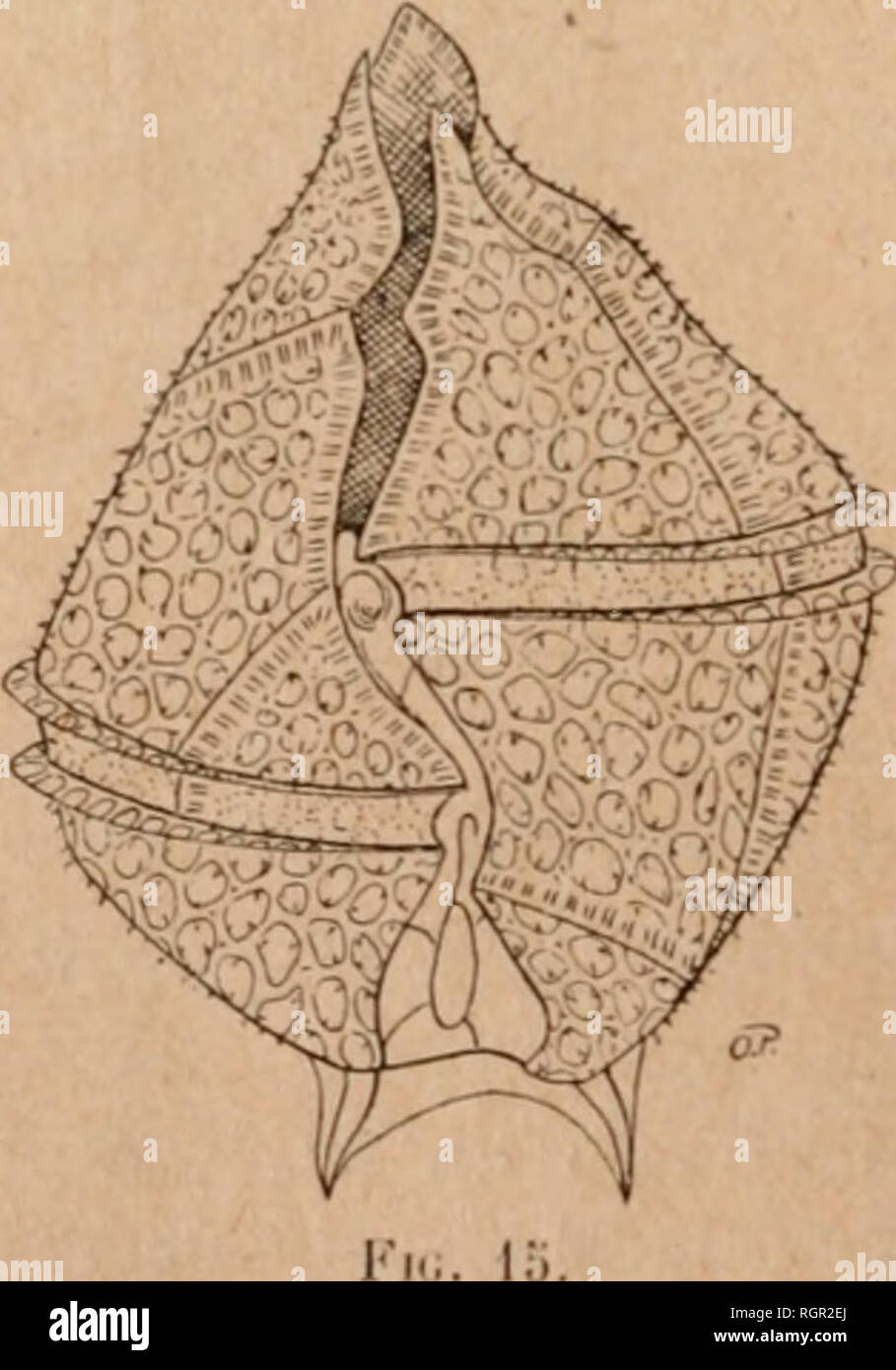 La californie du nord hi-res stock photography and images - Alamy