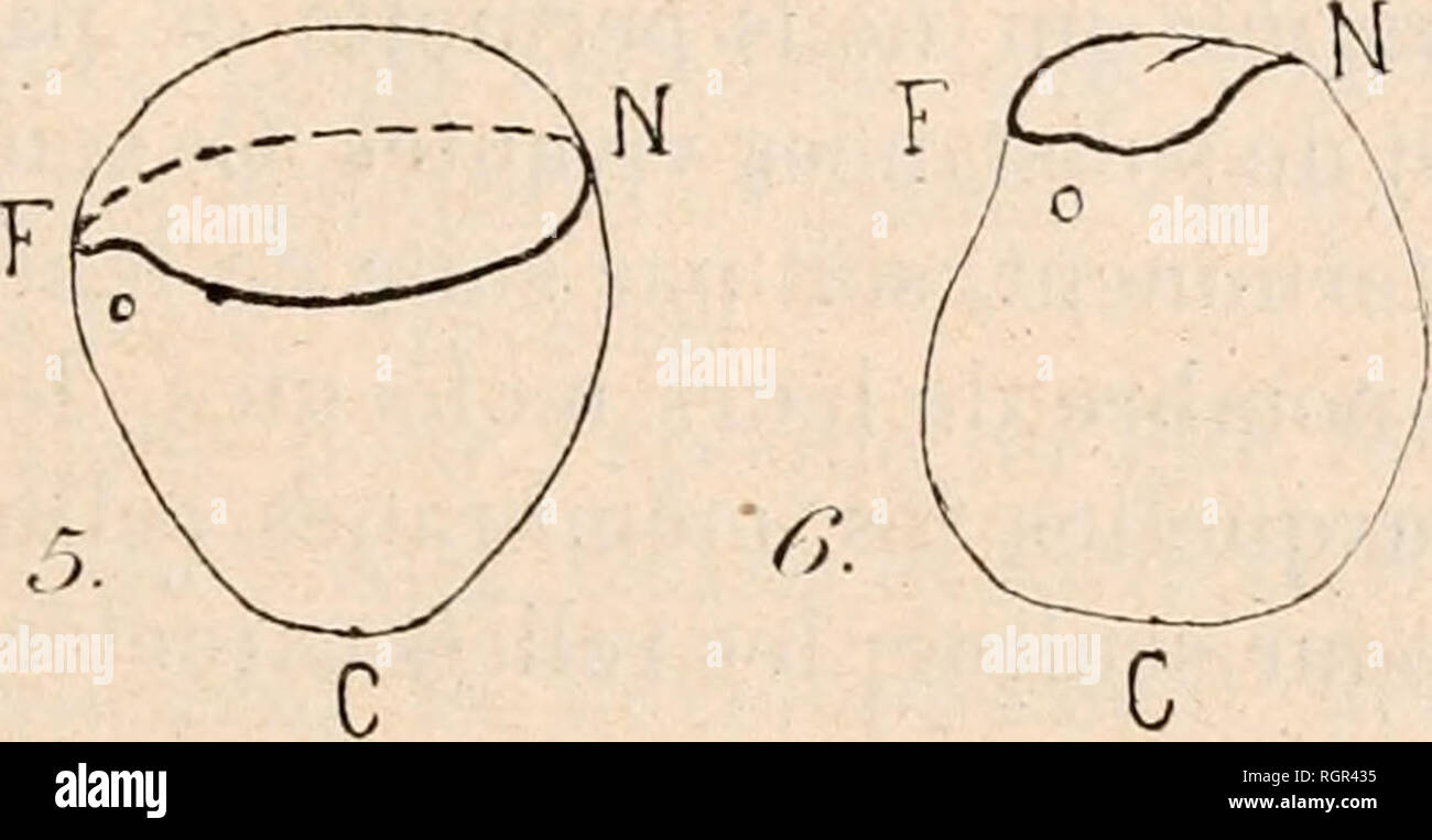Formes de premier plan hi-res stock photography and images - Alamy
