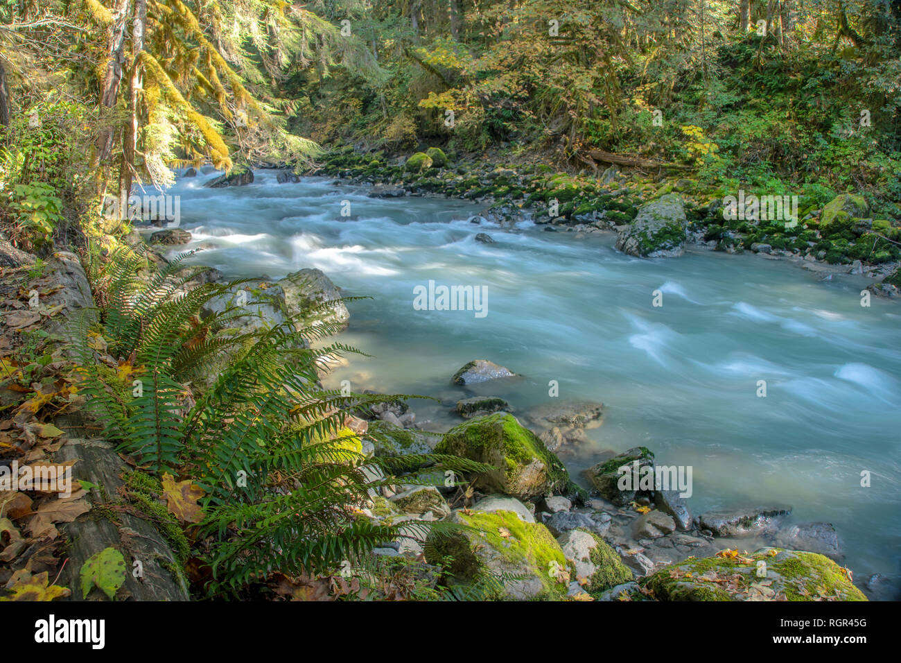 Nooksack High Resolution Stock Photography and Images - Alamy