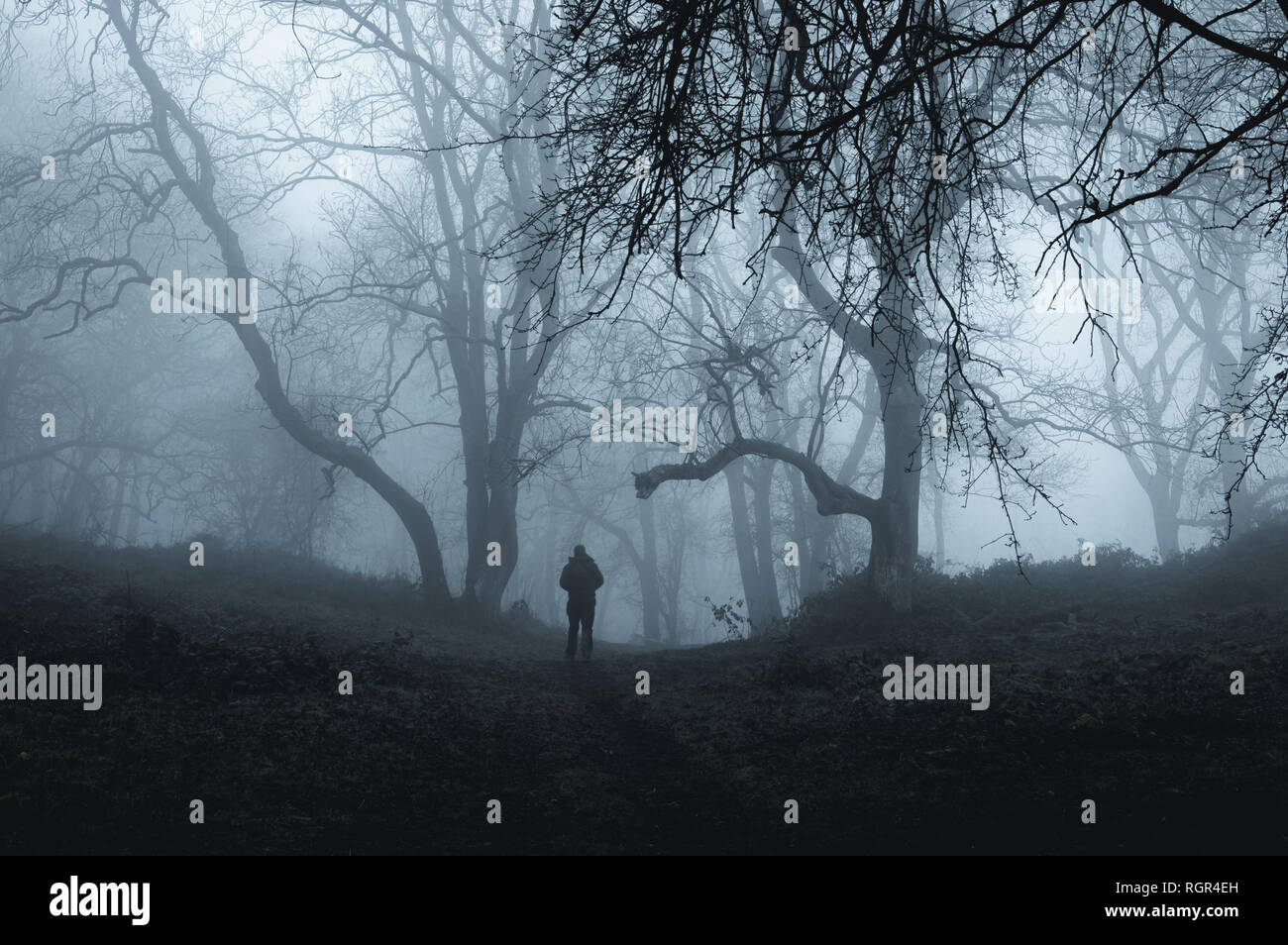 Mystery forest figure dark hi-res stock photography and images - Alamy