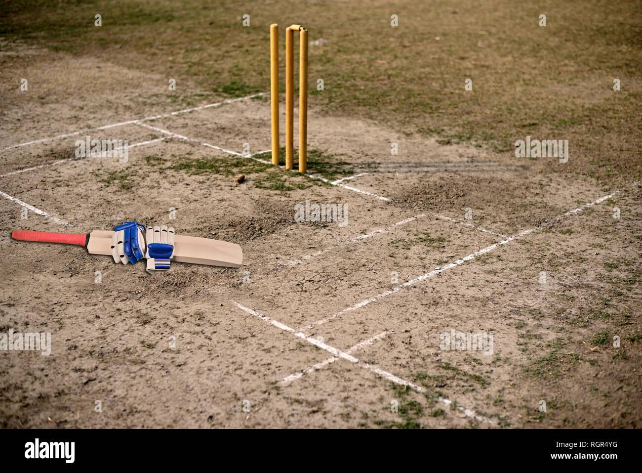 Cricket stump hi-res stock photography and images - Alamy