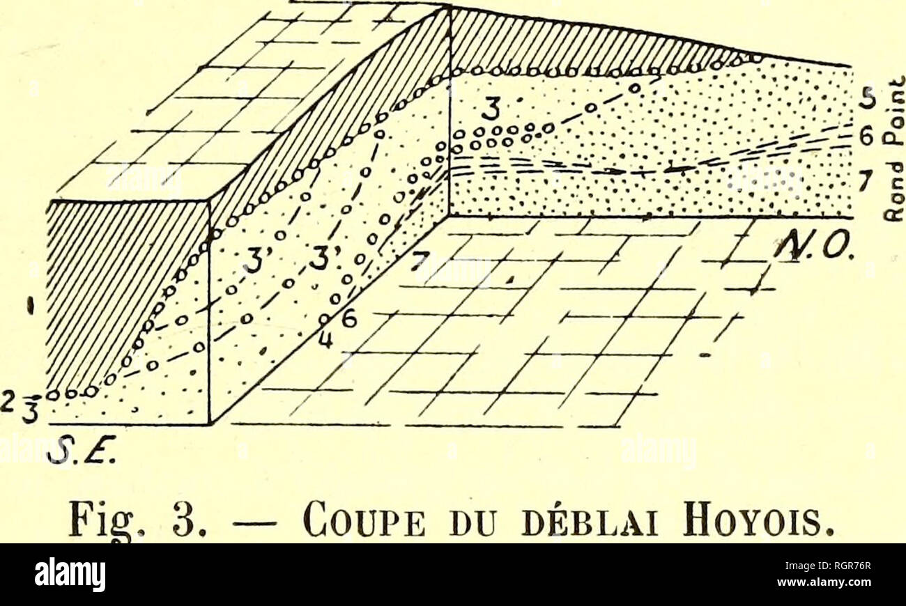 Sable persa hi-res stock photography and images - Alamy