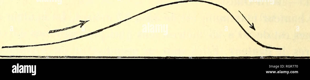 . Bulletin de la SociÃ©tÃ© belge de gÃ©ologie, de palÃ©ontologie et d ...