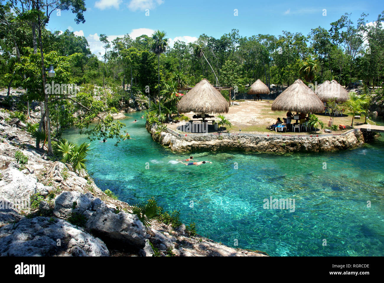 Beautiful cenote with crystal waters and picnic areas around Tulum ...