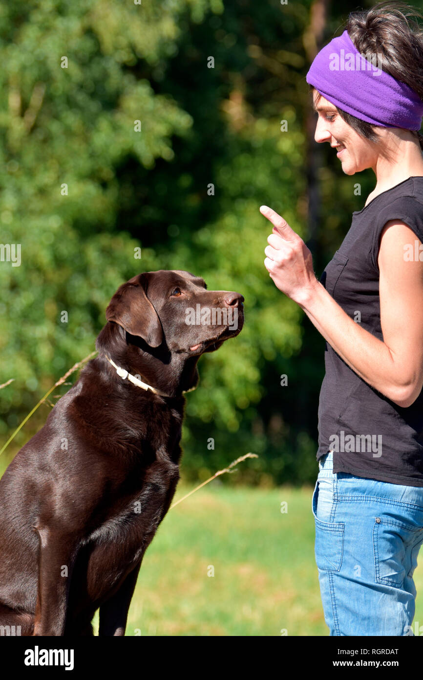 Woman labrador retriever hi-res stock photography and images - Alamy