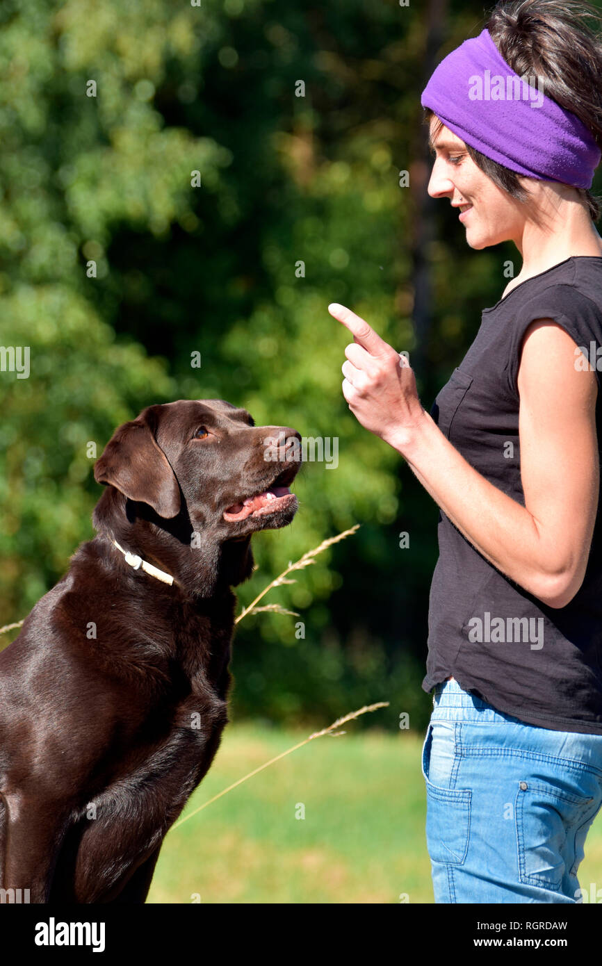 Woman labrador retriever hi-res stock photography and images - Alamy