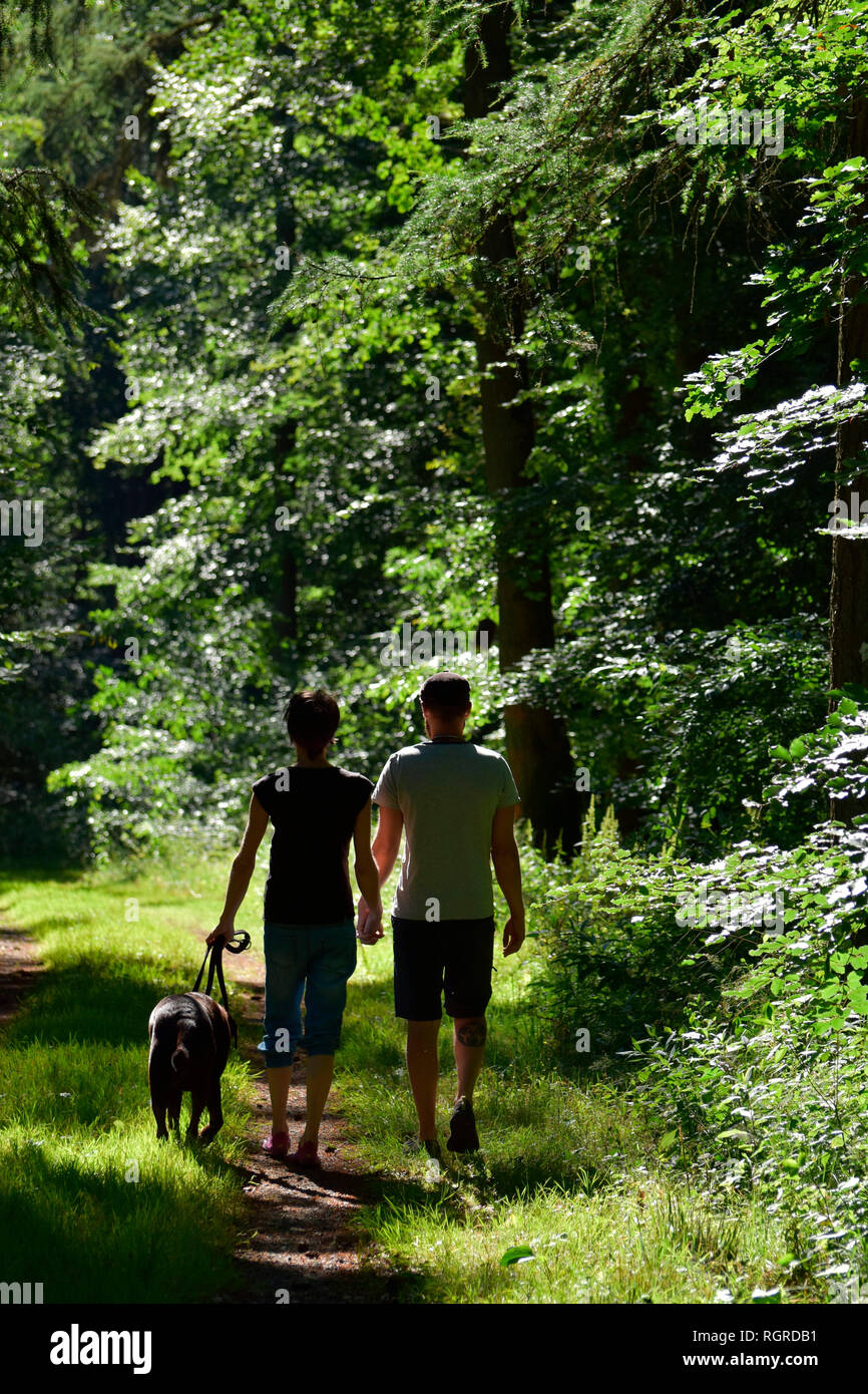 Woman walking labrador hi-res stock photography and images - Alamy