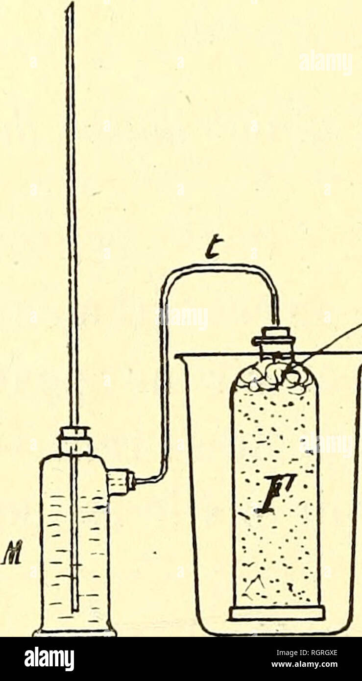 Le blutage hi-res stock photography and images - Alamy